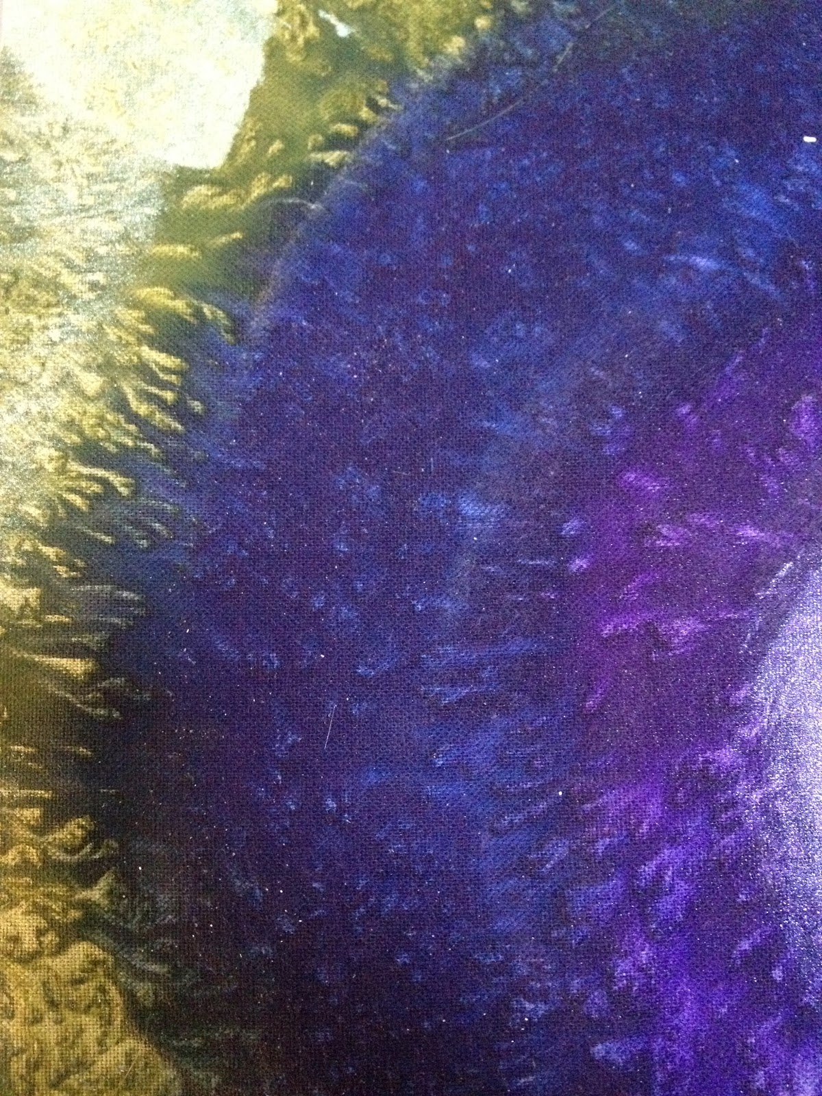 Dyed and Gone to Heaven: More Fun with the Sun Dye Paints