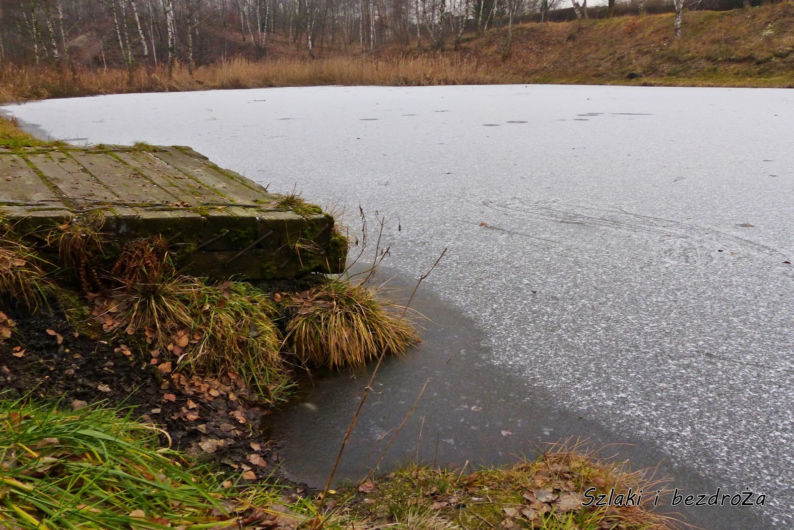 szlaki i bezdroża: Bytom Karb - staw Malek (Maleka)