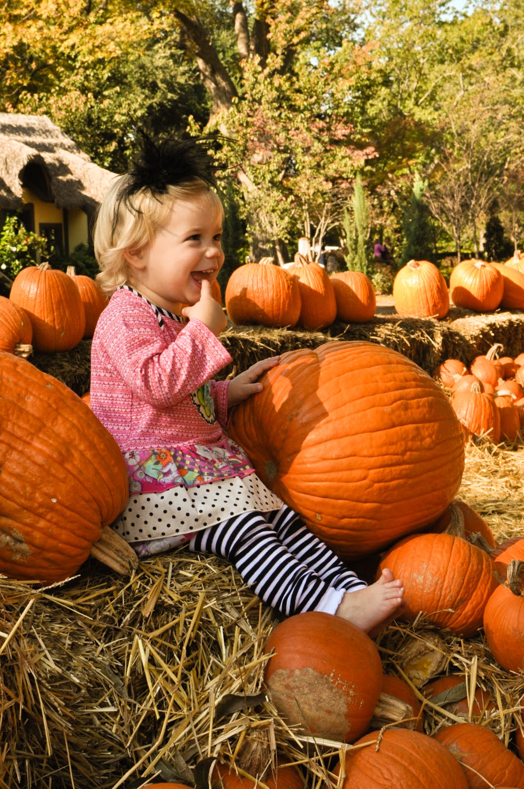 Yours and Mine: Pumpkins Galore, Cutest pumpkin in the patch!!