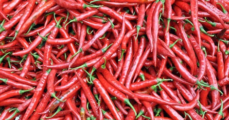 TIPS AGAR CABE SEGAR SAMPAI 2-3 BULAN - KAMBBO BLOG