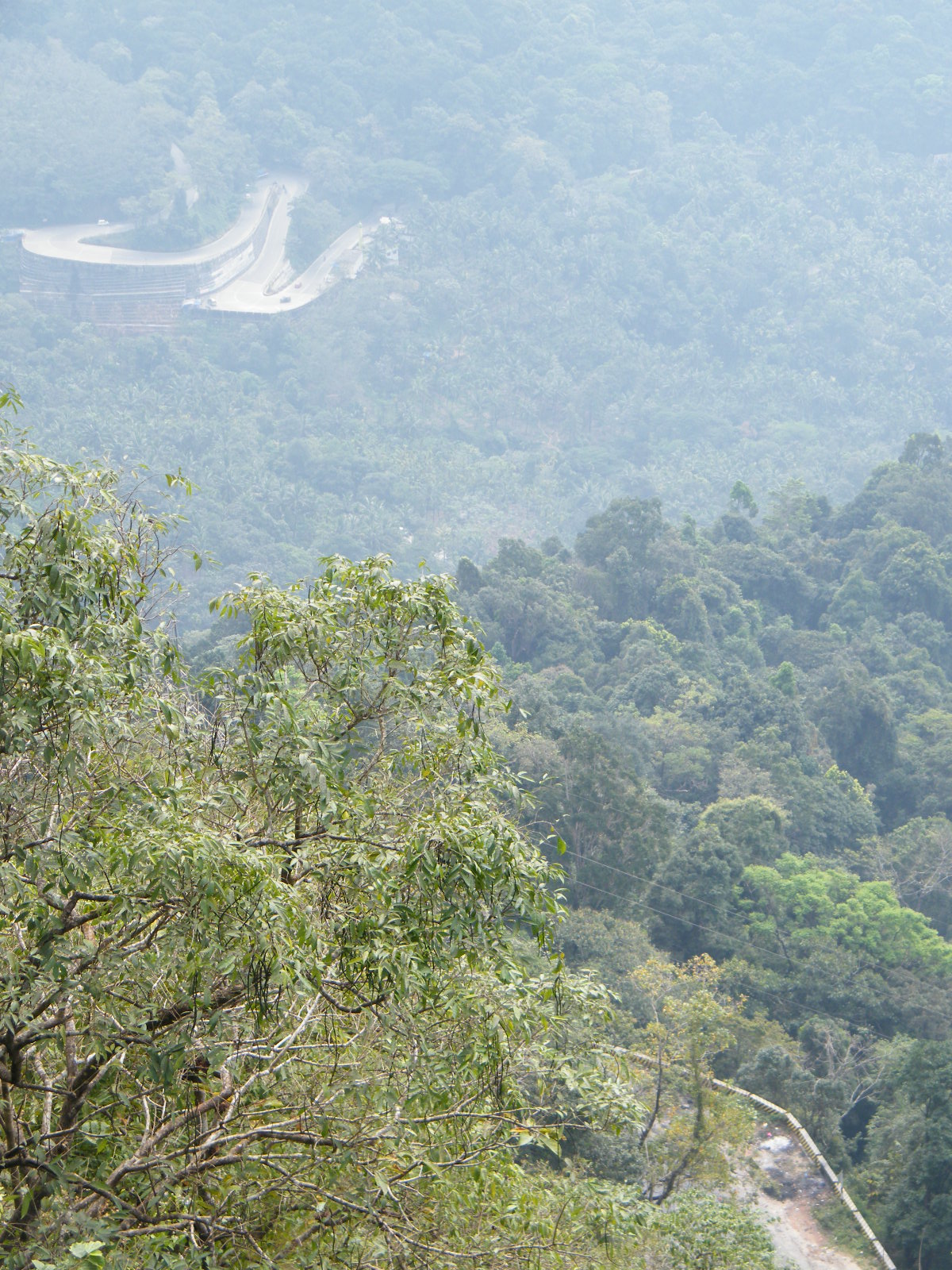 പ്രകൃതിയിലേക്ക് ഒരു യാത്ര ...a travel towards NATURE ...