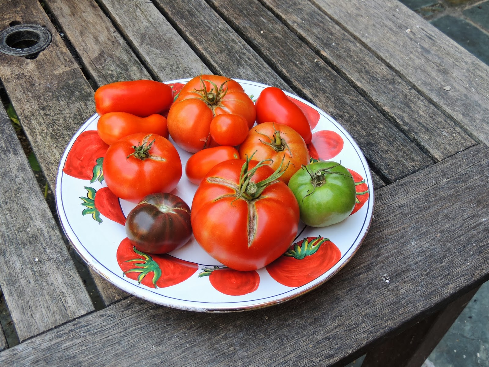 Jane's Harlem Kitchen and Garden: A Monarch, Tomatoes and Pepper ...