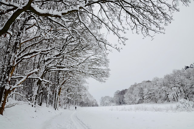 SFI Mölndal: Mörk vinter eller glad vinter?