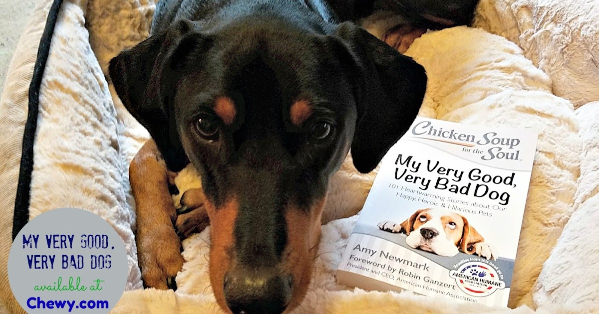 Lapdog Creations: My Very Good, Very Bad Dog #ChewyInfluencer