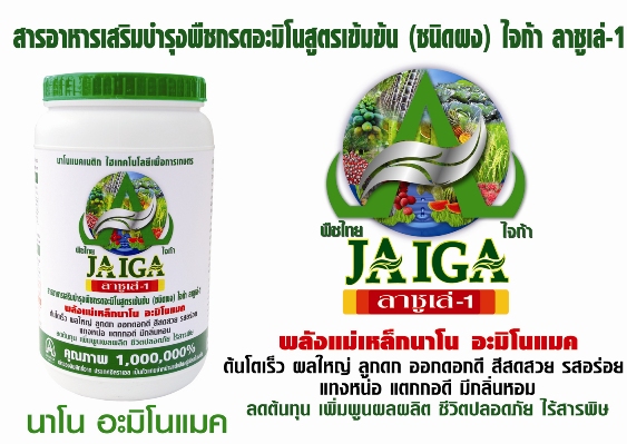 ไจก้า ลาชูเล่ - JAIGA La Chule