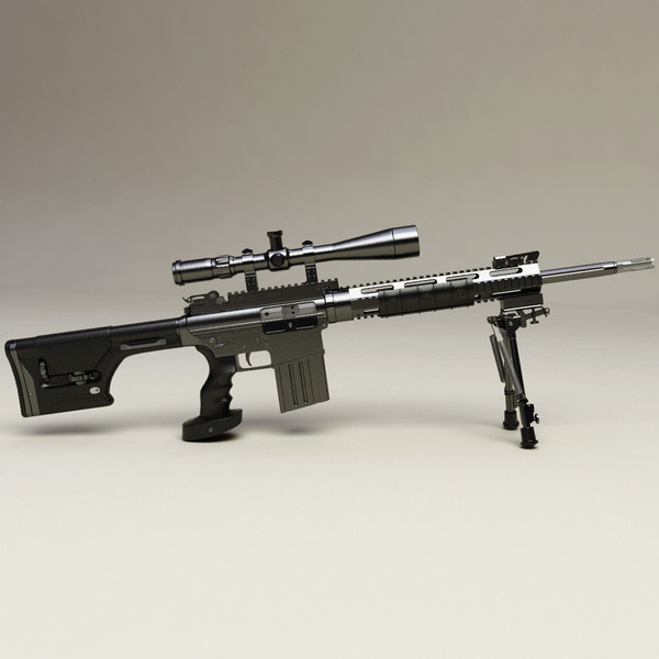 Gun Reviews: DPMS LR-308 SASS