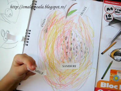 Marul si partile lui