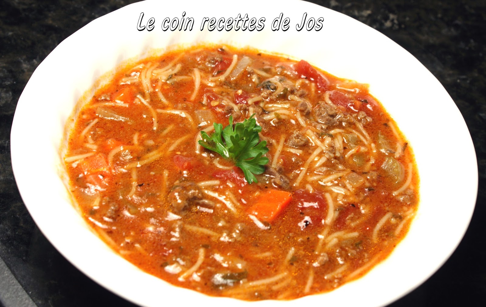 Le coin recettes de Jos: SOUPE REPAS AU BOEUF HACHÉ À L'ITALIENNE