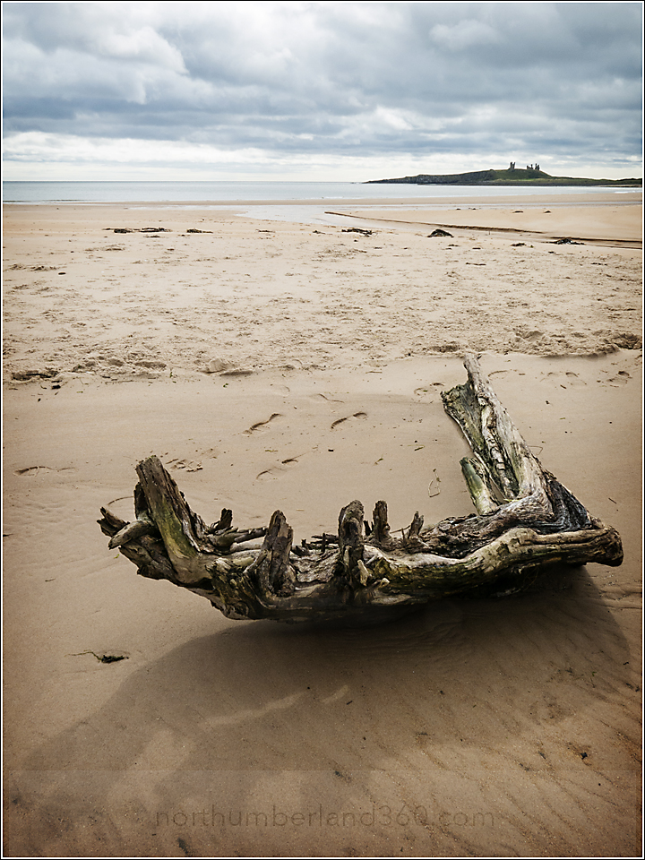 Northumberland360.com: middle of the day