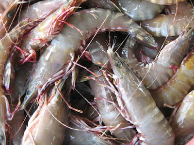 Information about the Shrimp Export Data - Indonesia Shrimps Supplier ...