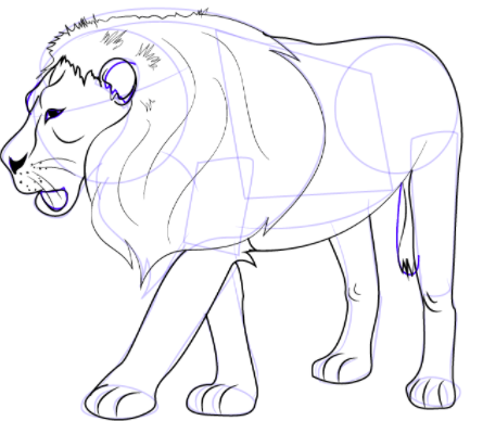 Cara Menggambar singa - Tutorial Mengambar