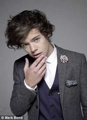 Everything About 1D Directioners