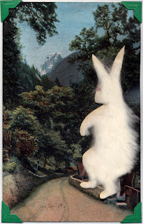 Curious Creatures at the Congress and Elsewhere