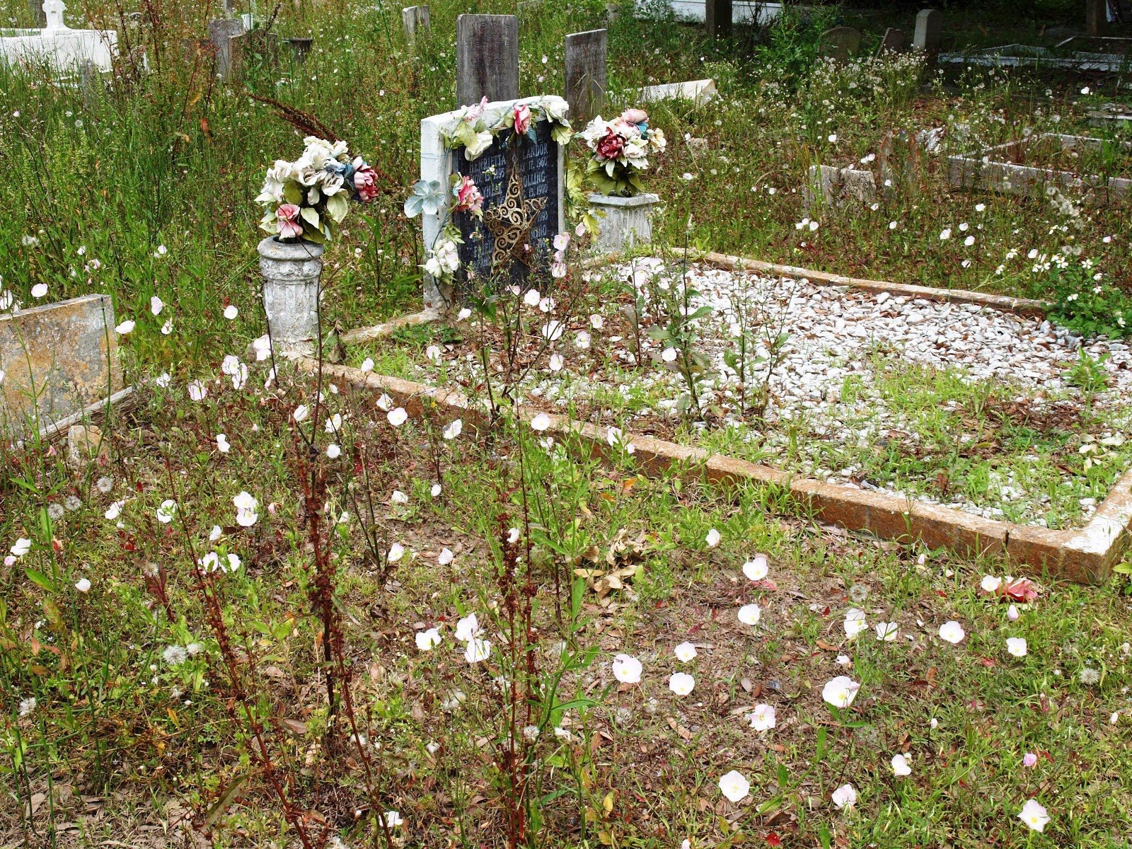 angels and people, life in New Orleans: Holt Cemetery