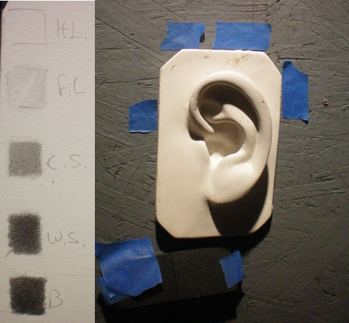 ARTHUR HAYWOOD: Ear Cast Drawing Process, Part 1