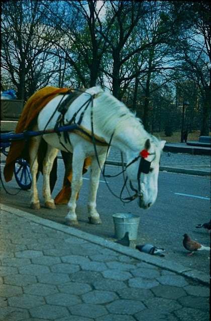 37 Amazing Photographs Capture Street Scenes of New York City in 1978 ...