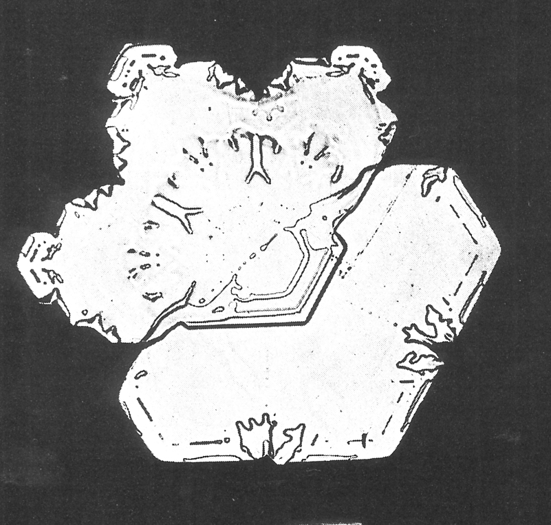 Mutated snowflakes from the Japanese nuclear react: Nuclear fallout ...