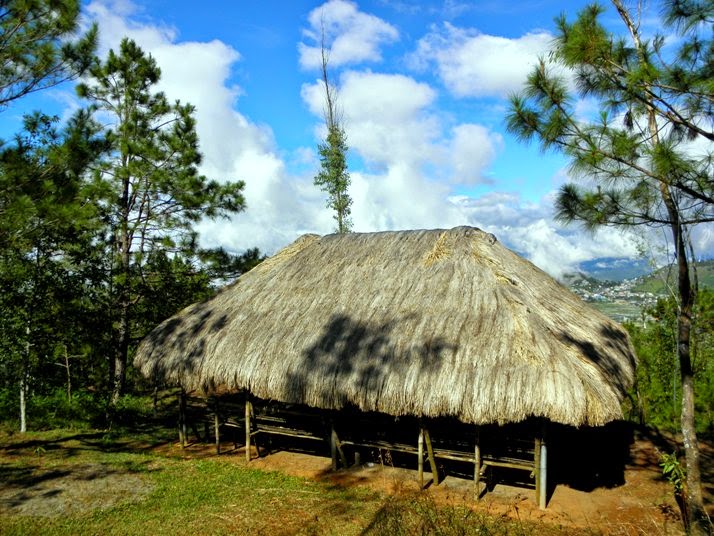 Hiking Through The Longlong Communal Forest In Puguis, La Trinidad, Benguet