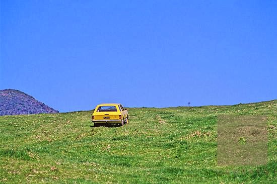 Parking it Here: Parking Cows - What Farmers Know about Parking.