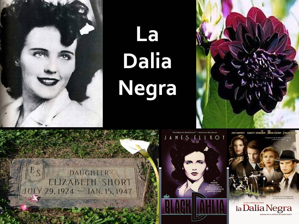 México a través de la mirada de una cubana: La Dalia Negra 70 Años ...
