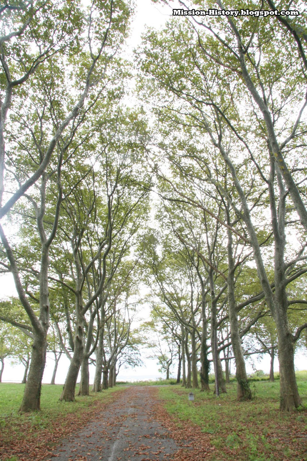 Mission: History: A Visit to Hart Island