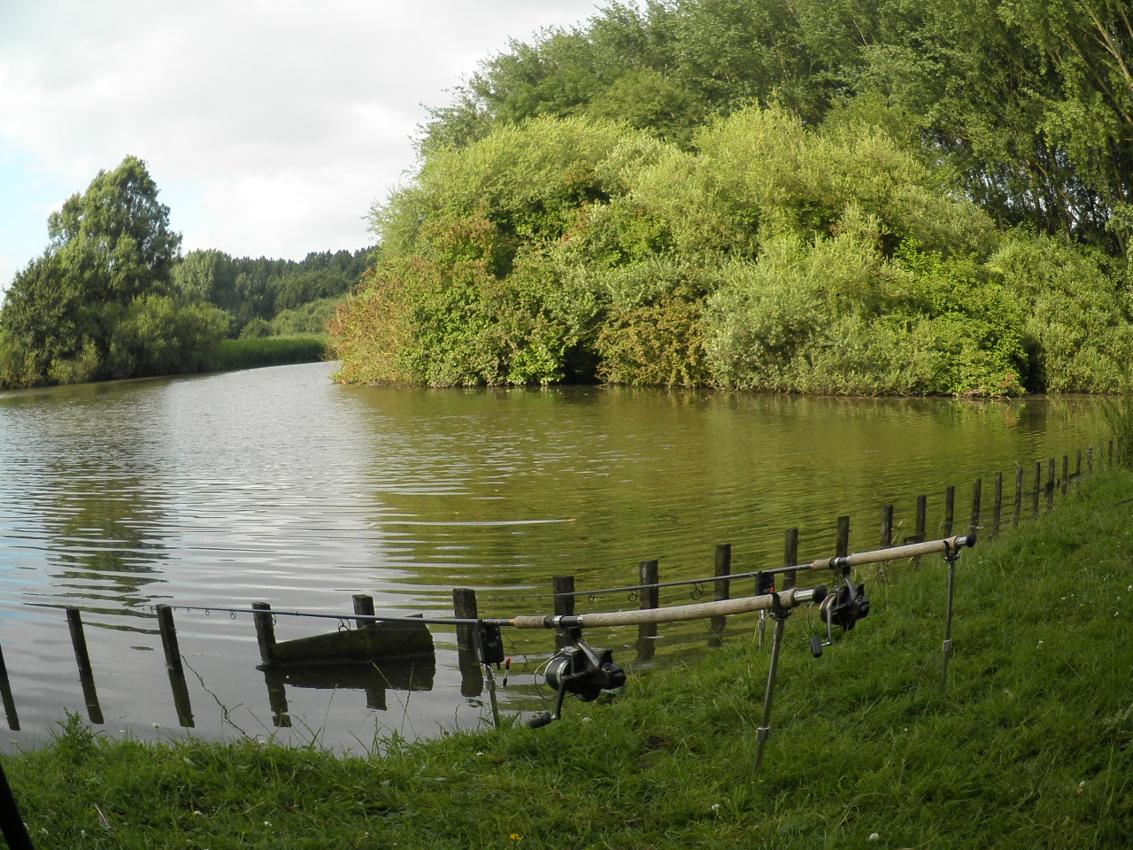 Mystic Carp: Sessie Lage Bergse Bos