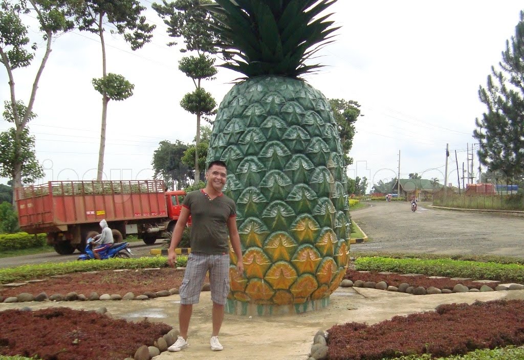 Travel Guide : Bukidnon - How To Get There, Things To Do, Tourist Spots ...