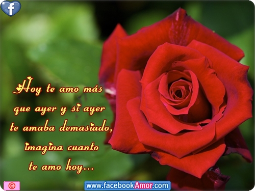 Imagenes Con Frases De Rosas Rojas