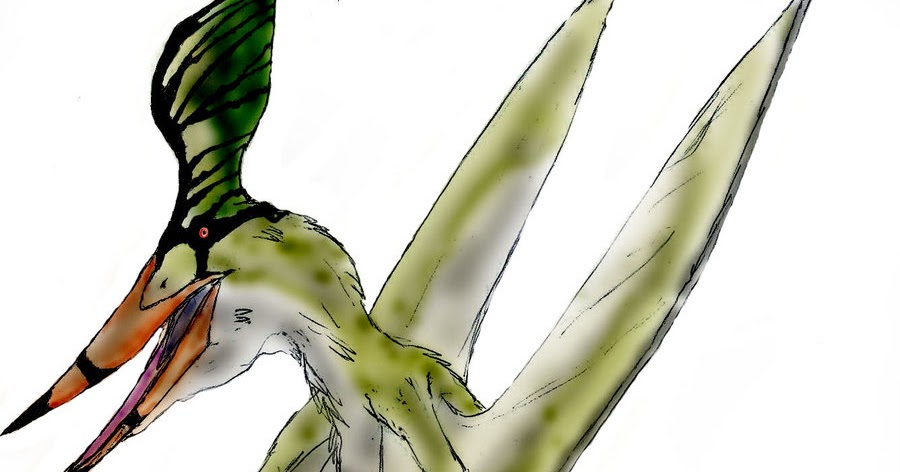 Terra dos Dinossauros: Pteranodonte