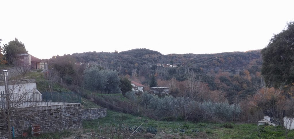 sociologyalert: ΠΑΛΑΙΑ ΦΛΩΡΙΑΔΑ (ΒΔΕΛΕΣ) ΟΡΕΙΝΟΥ ΒΑΛΤΟΥ ΑΙΤΩΛ/ΝΙΑΣ ...