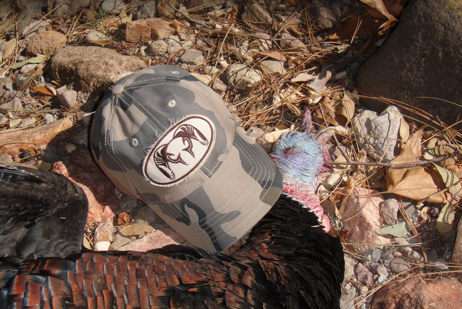 Jay Scott Outdoors: Brian Rimsza's AZ Goulds Turkey Hunt
