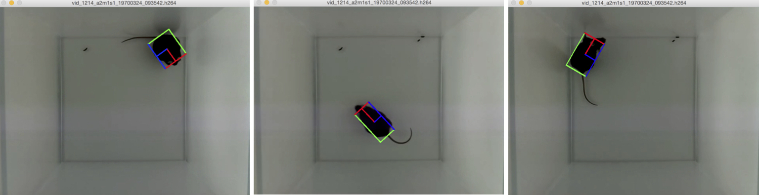 Video Tracking using Python/OpenCV