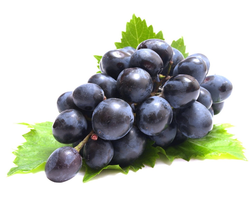 Maria Jose: Uvas