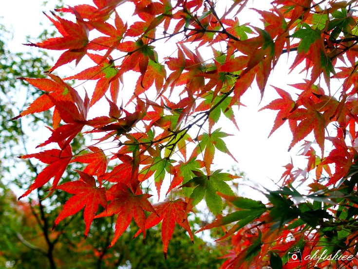 oh{FISH}iee: [TRAVEL] Okayama City (岡山市) Autumn Travel Guide