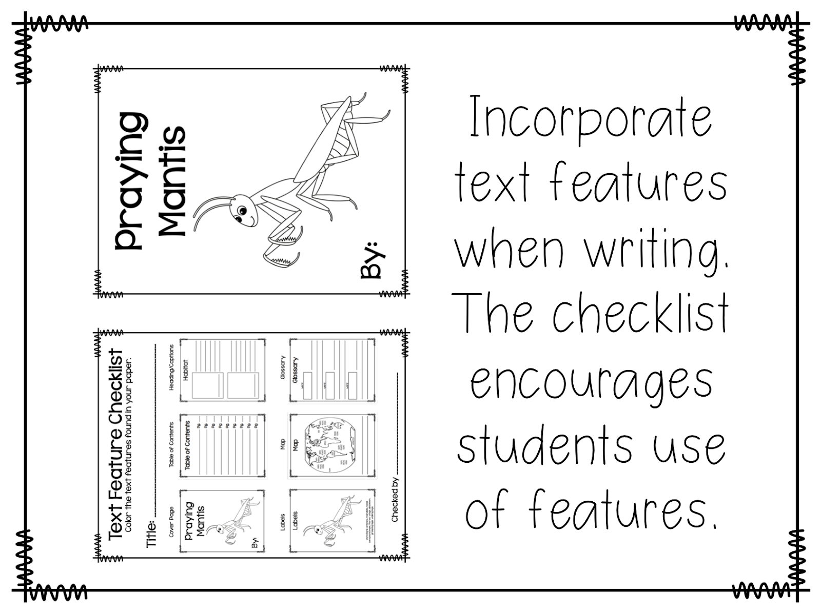 Primary Graffiti: Life Cycle of a Praying Mantis