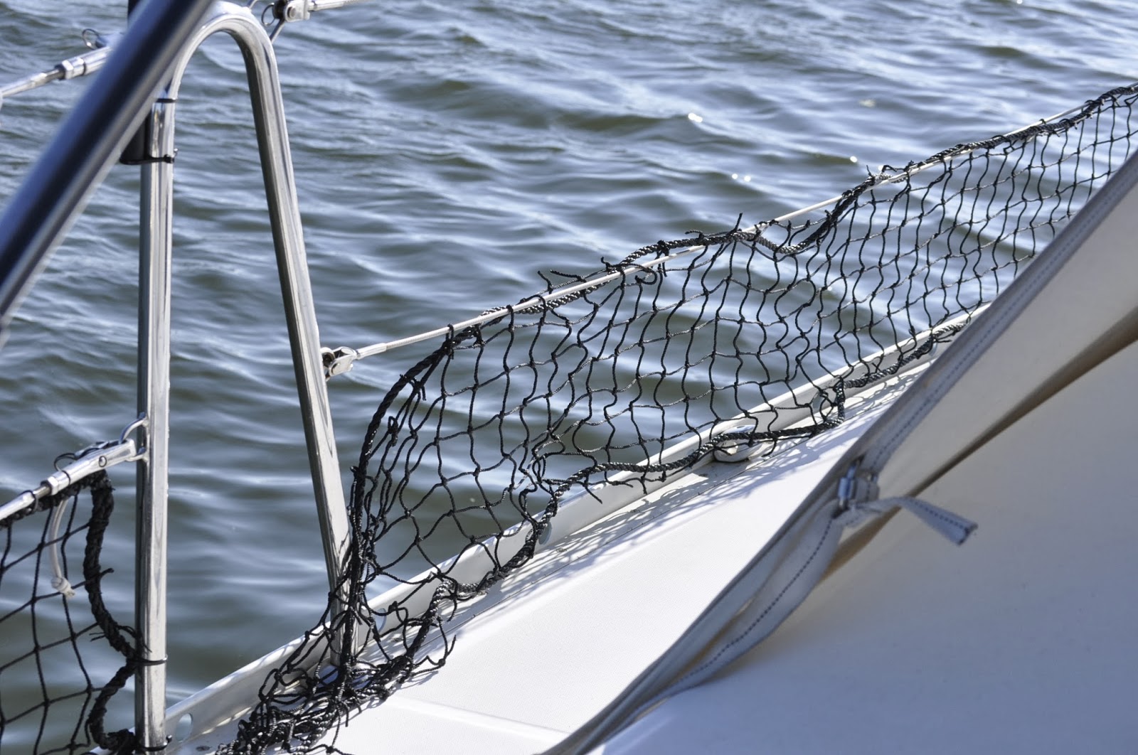 Sailing Luna Sea : Dogs on a Boat - the Puppy Pad Chronicles
