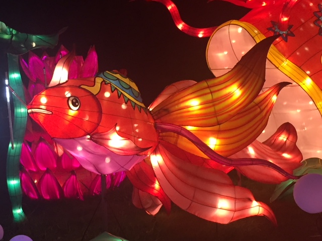 Within My Means: "Moonlight Forest" Chinese Lantern Festival at the LA ...