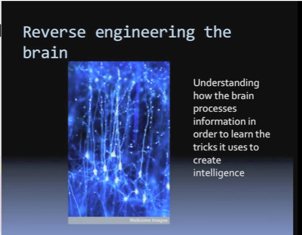 Synthetic Daisies: Now Announcing the OpenWorm Open House