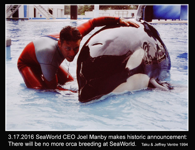 Voice of the Orcas: Our Statement Regarding SeaWorld’s announcement to ...
