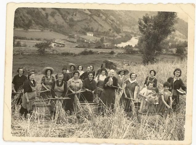 El trigo almidonero silvestre, “LA ESCANDA” en Asturias-TRITICUM ...
