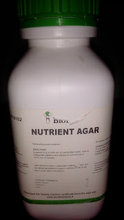 Media Mikroba Nutrient Agar « Curahan Ilmu