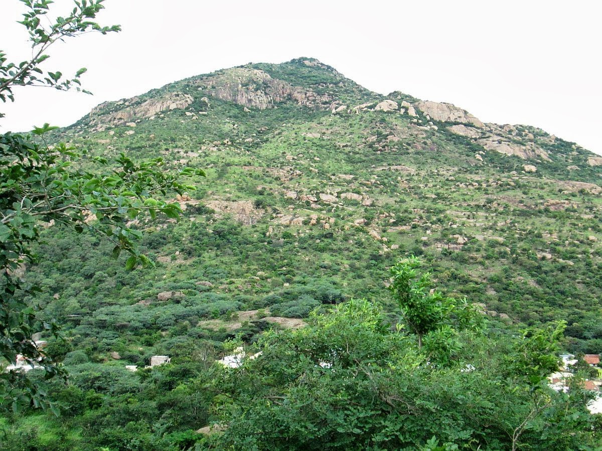 ARUNACHALA GRACE: Aarti at Pavala Kundru