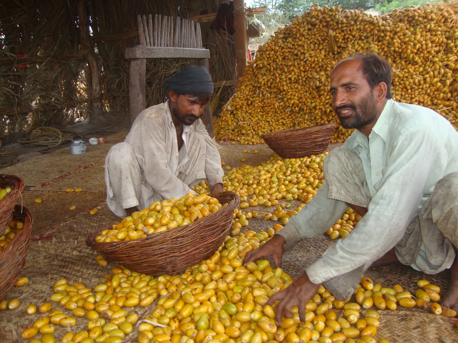 Akram Abid: DERA ISMAIL KHAN= MOST POPULAR DHAKKI DATES FROM DERA ...