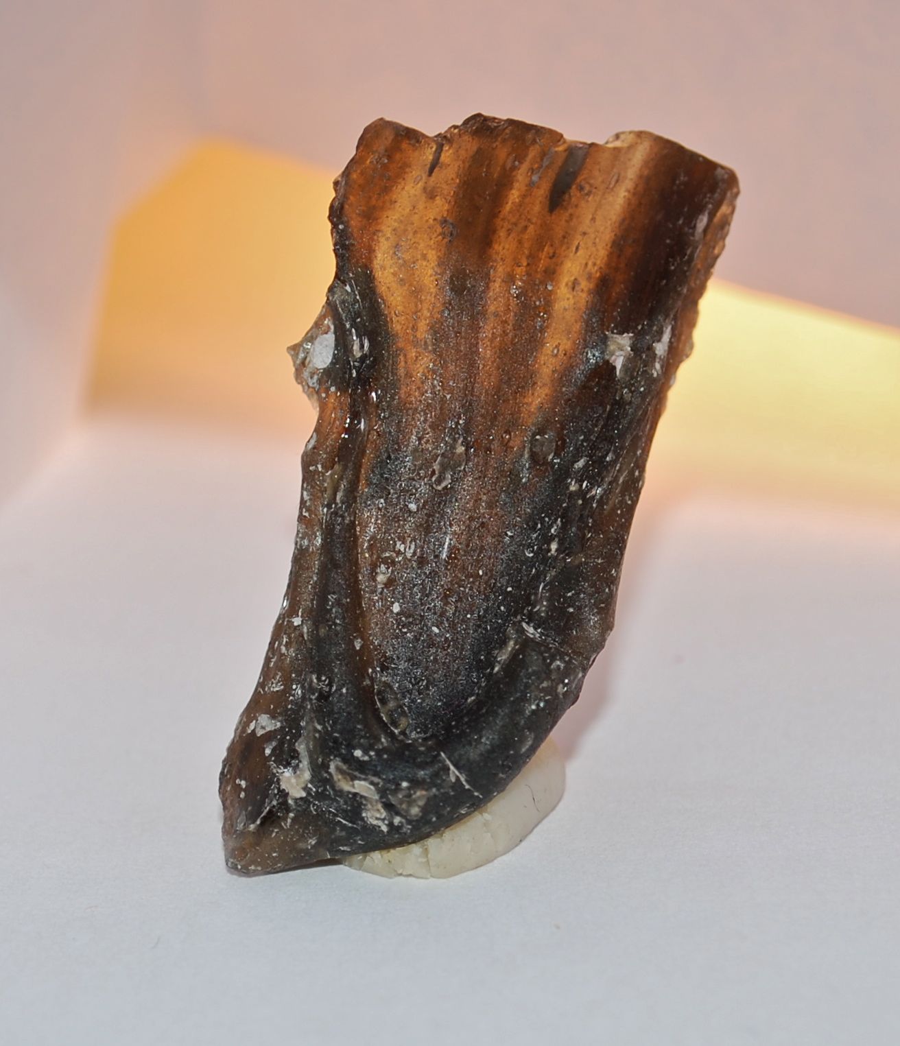 Tektites & Impact Glasses: Impact Glass Specimens from the Darwin ...