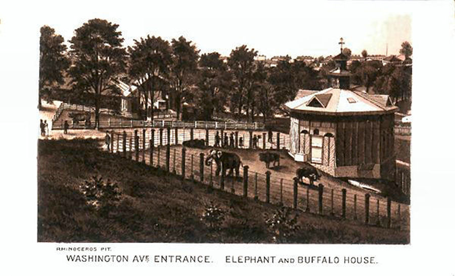 The Circus "NO SPIN ZONE": Vintage Cincinnati Zoo--1878