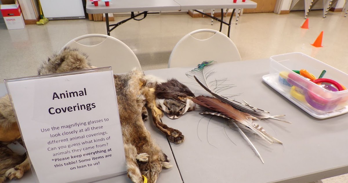 A Mom's Spare Time: Toddler STEAM - Animals