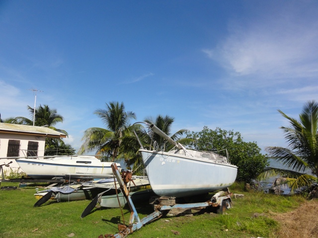 Belize Walkabout: Visit to Gales Point Manatee