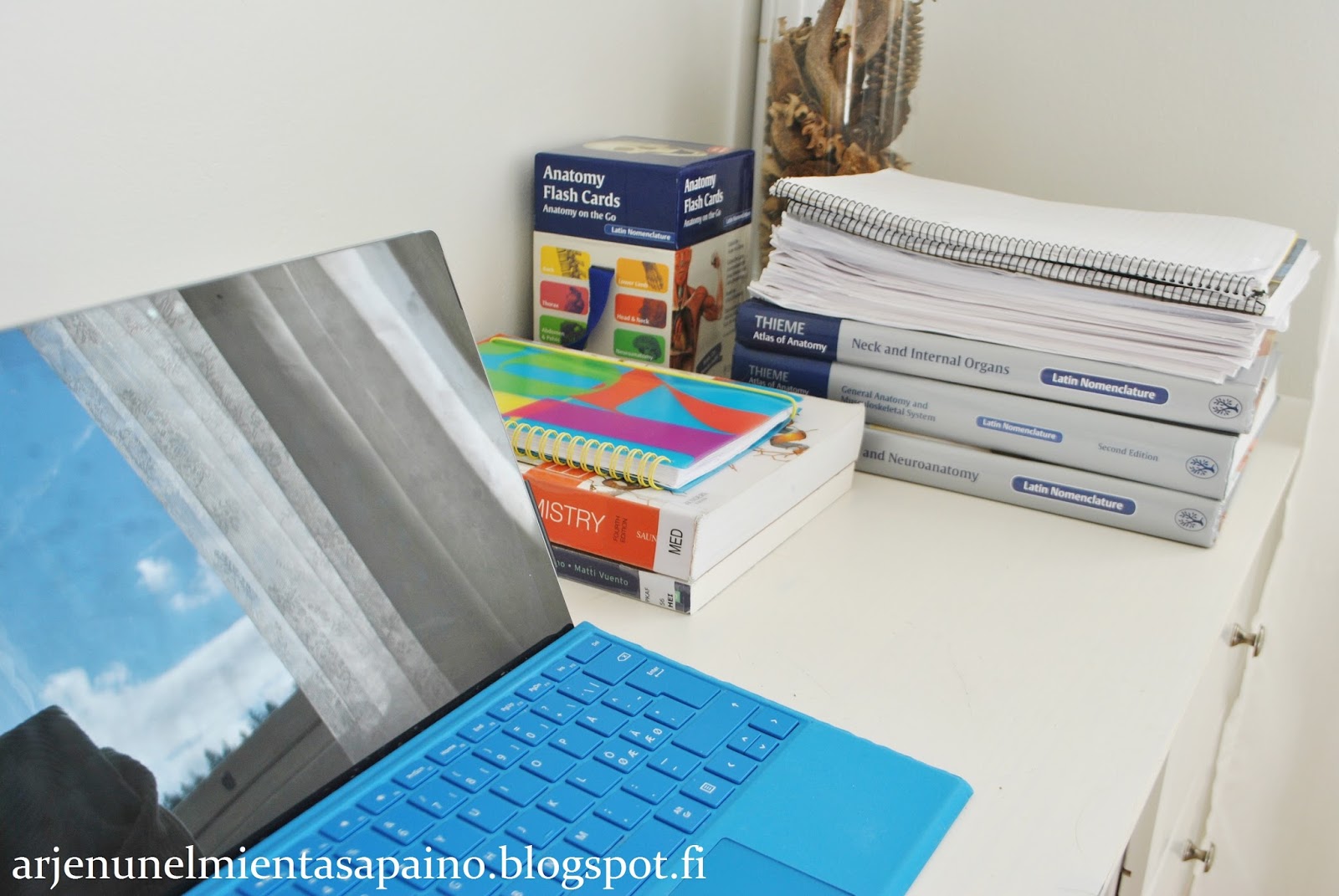 Tasapainoilua 1: Minä opiskelijana