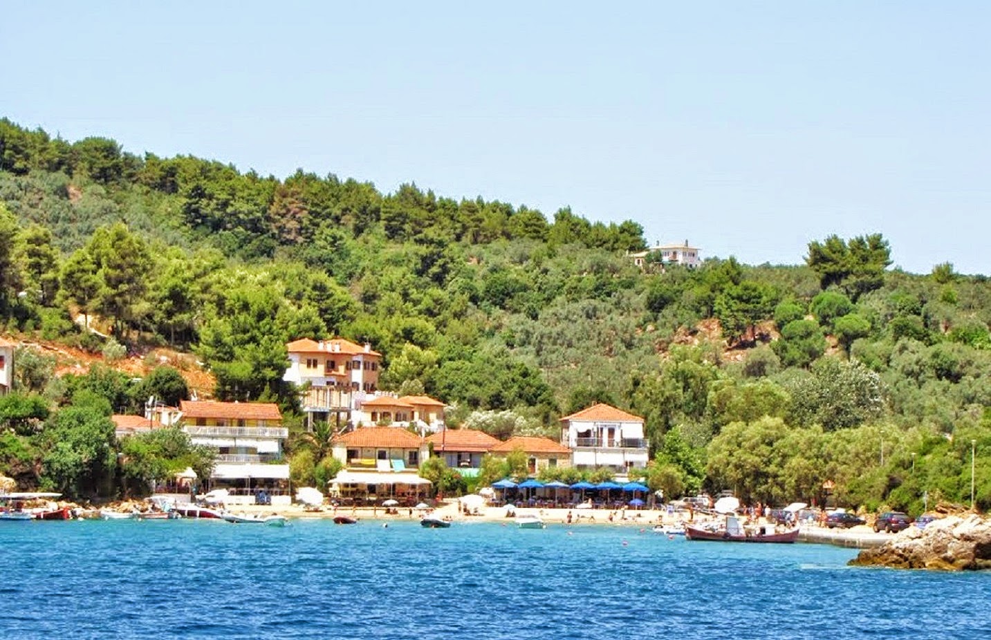 ☮ ΒΟΛΟΣ ΠΗΛΙΟ ΜΑΓΝΗΣΙΑ : ΤΕΛΕΥΤΑΙΟ ΜΠΑΝΙΟ ΓΙΑ 43ΧΡΟΝΟ ΨΑΡΟΝΤΟΥΦΕΚΑ ΣΤΟΝ ...