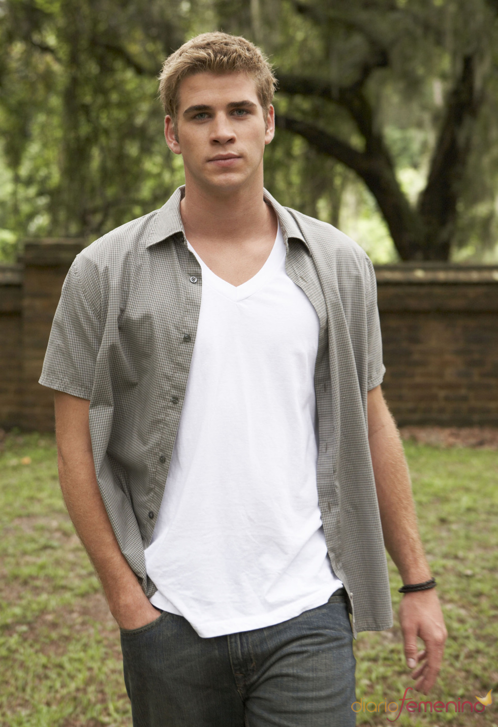 Liam Hemsworth confirmado para protagonizar el drama romántico ...